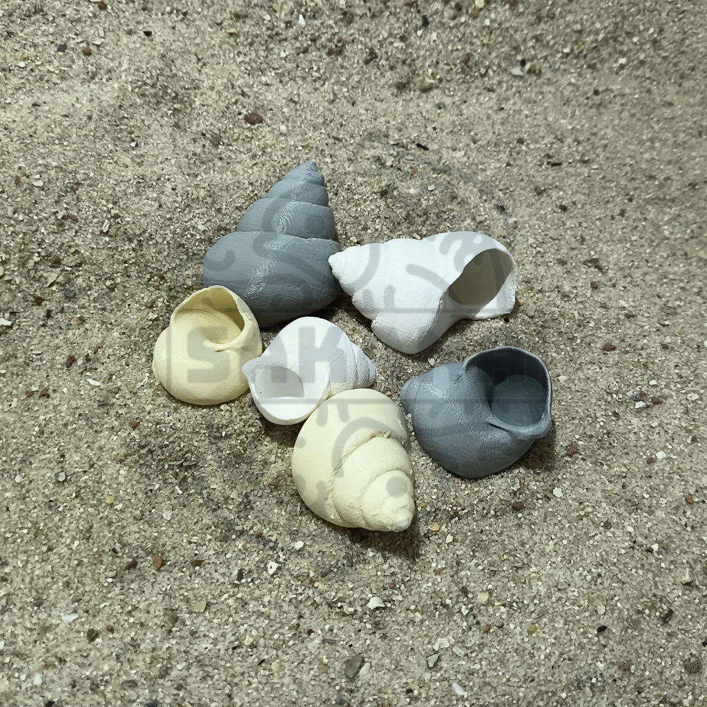 Neothauma Tanganyicense - 6 unidades – MANGROVE PROJECT