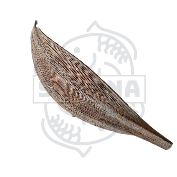 Palm Pod XL - 1 unit – MANGROVE PROJECT